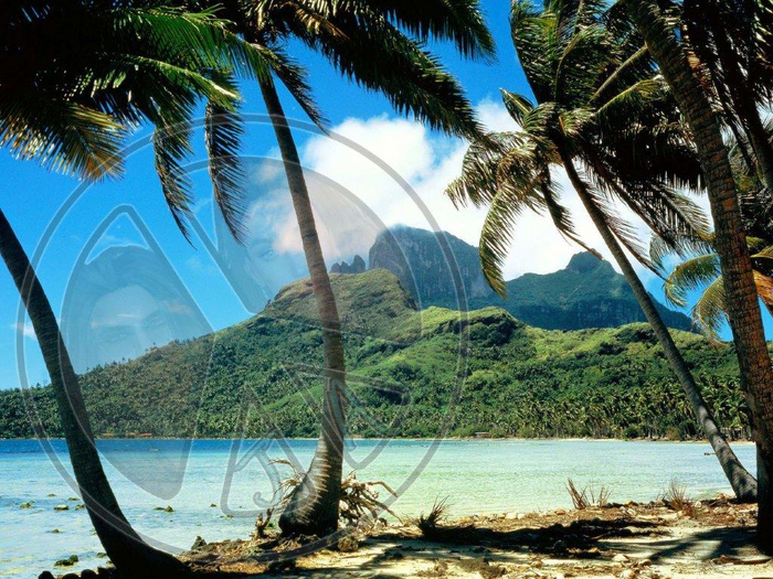Second Life Marketplace - 111 - Tropical - Beach - Palm Trees - Island ...