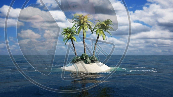 Second Life Marketplace - 116 - Tropical - Little Island with 3 palm ...