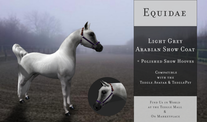 Second Life Marketplace - Equidae ~ Arabian Light Grey Coat Applier