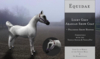 Second Life Marketplace - Equidae ~ Arabian Light Grey Coat Applier
