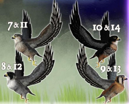 Second Life Marketplace - JIAN Avian Arcana 7. Merlin Falcon Companion BOX
