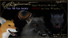 Second Life Marketplace - :AppyBottoms: TWIFox - EyeReplacment