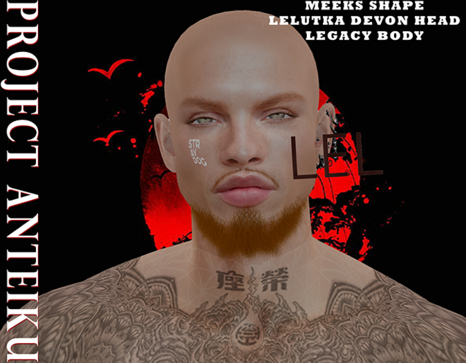 Second Life Marketplace - P.A. Meeks Shape (Lel Devon/Legacy Body)