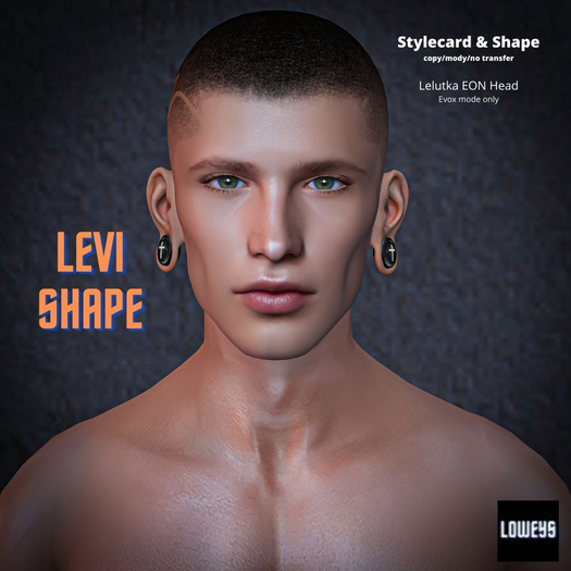 Second Life Marketplace - [Loweys] Levi Shape for Lelutka EON Head