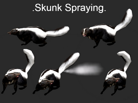 Second Life Marketplace - Skunks Set (box)