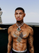 Second Life Marketplace - FRED SHAPE