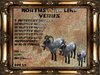 Second Life Marketplace - Northstone Verrs - Gorean Animals