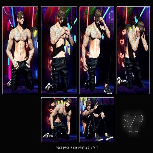 Second Life Marketplace - SVP Mix Part 3 Pack
