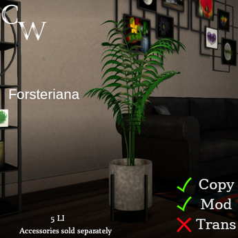 Second Life Marketplace - -CW- Forsteriana
