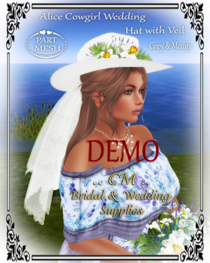Second Life Marketplace - CM..Alice Spring Cowgirl Hat DEMO