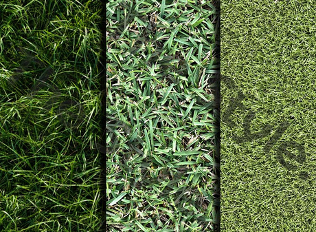 Second Life Marketplace - Grasslands Garden Textures Seamless v. 3