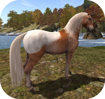 Second Life Marketplace - Texture Barn: Snowcap Appaloosas for Teegle ...