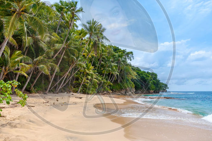 Second Life Marketplace - 197 - Summer - Tropical Beach - Palm Trees ...