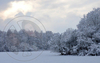 Second Life Marketplace - 198 - Winter - Snowy landscape - Grey Sky ...