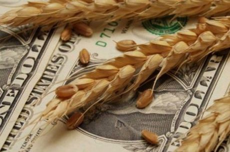 Second Life Marketplace - DFS Wheat Seed V2.2