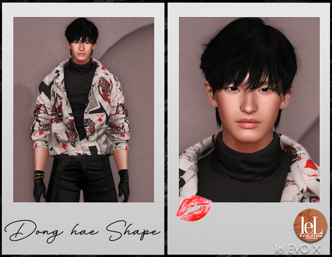 Second Life Marketplace - [OTHER FACES] Dong-hae Shape (LeL EvoX River 3.1)