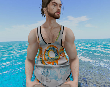 Second Life Marketplace - The way of the dragon