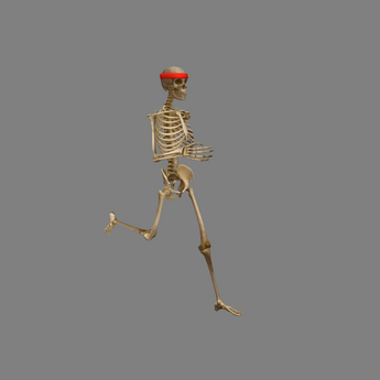 Second Life Marketplace - Aquatica Mesh - AM025216 Runner Skelly
