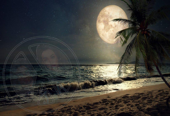 Second Life Marketplace - 280 - Tropical - Beach - Night - Moon - Stars ...