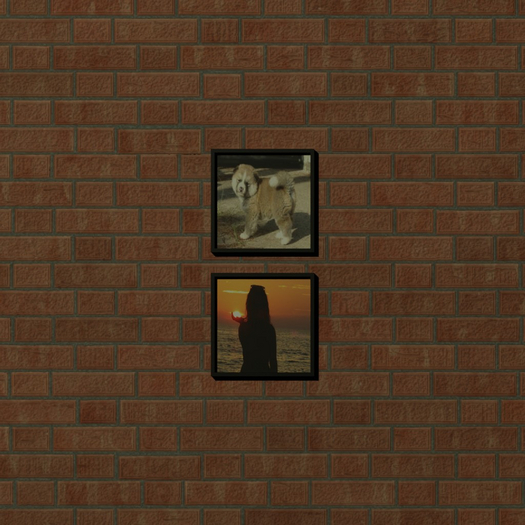 Second Life Marketplace - FS_Picture_Frames_2_V1.0