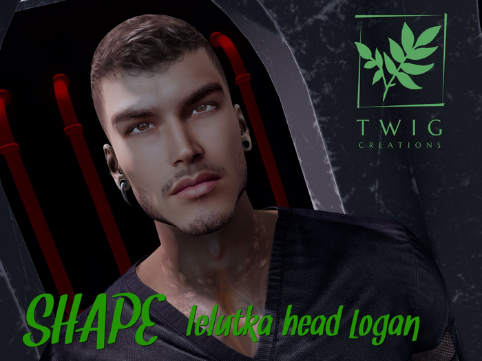 Second Life Marketplace - TWIG - Shape Bento GRANT HEAD / lelutka LOGAN