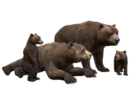 Second Life Marketplace - Art Studio.FULL PERM \\ Bear Family