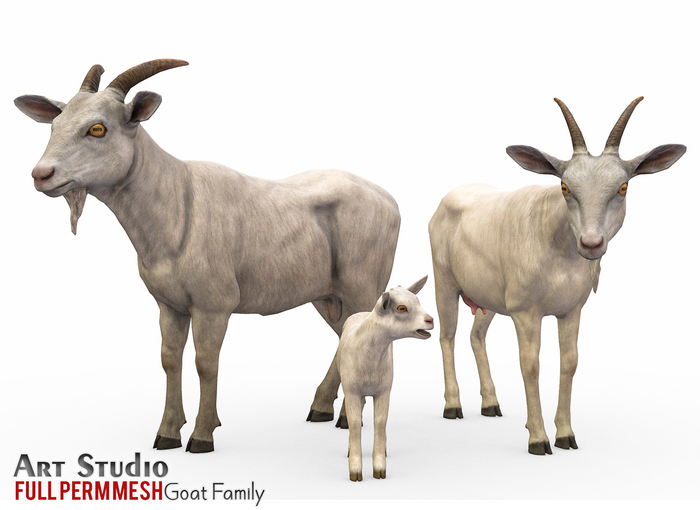Second Life Marketplace - Art Studio.FULL PERM \\ Goat Family