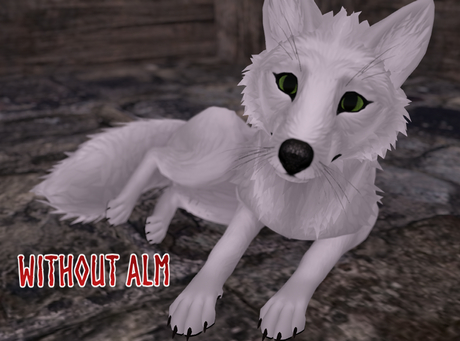 Second Life Marketplace - K9nnor - TWI Fox PSD Kit - REWORKED update