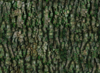 Second Life Marketplace - jungle tree bark texture