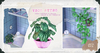 Second Life Marketplace - Ariskea. Vsco . Retro Bath - Adult Set