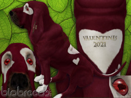 Second Life Marketplace - BioBreeds BB Valentine's 2021 Epic BLH Box Male