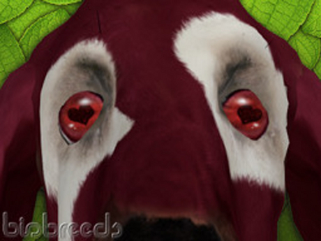 Second Life Marketplace - BioBreeds BB Valentine's 2021 Epic BLH Box Male