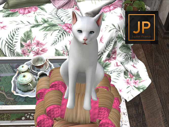 Second Life Marketplace - 6. Belle Epoque - Cat Lady