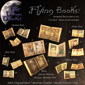 Second Life Marketplace - The Half Moon Market - Flying Books - 04 ...