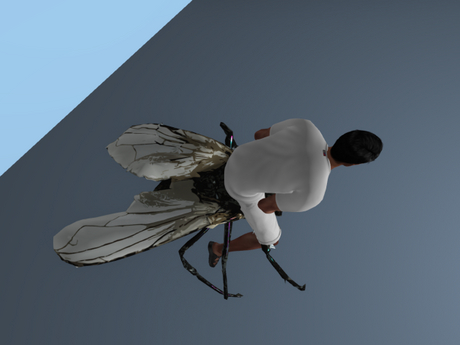 Second Life Marketplace - Wearable Riding Fly and Fly Companion