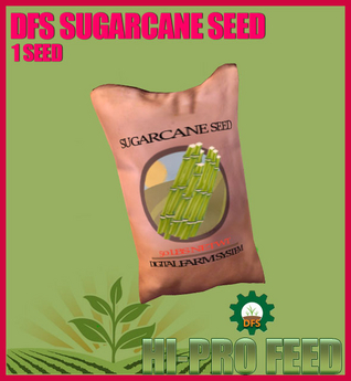 Second Life Marketplace - DFS Sugarcane Seed (Actual Seed)