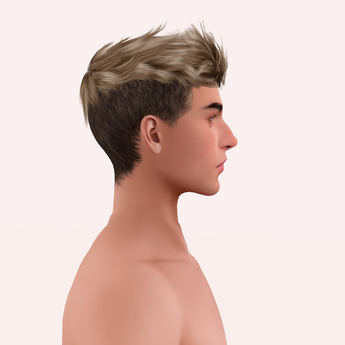 Second Life Marketplace - t.wassep / tom shape (Noa LeLutka Head)