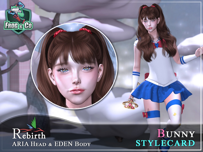 Second Life Marketplace - Bunny Shape + Style card - REBIRTH Aria head ...
