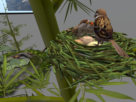 Second Life Marketplace - GD MESH BIRD POOL ANIMATED SCENE