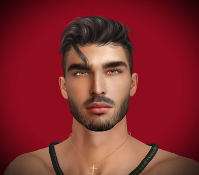 Second Life Marketplace - SHAPE for LeLutka PAXTON EvoX Head 3.1 and ...