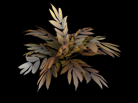 Second Life Marketplace - 12 Full Perm Plants