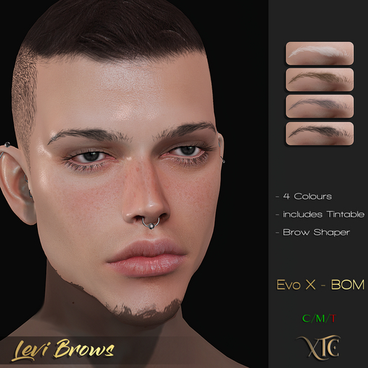 Second Life Marketplace - -XTC- Levi Brows - EvoX [BOM]