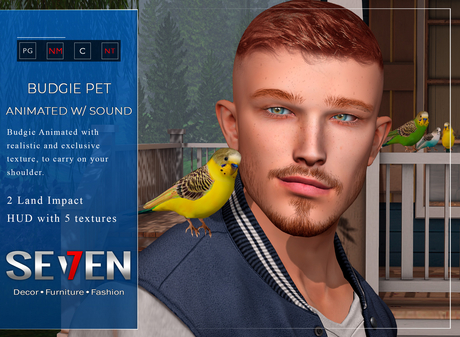 Second Life Marketplace - SE7EN - Budgie Shoulder Pet (animated w/sound ...