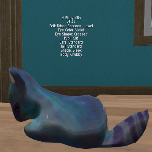Second Life Marketplace - Stray Cats Kitten - Pelt: Faboo Raccoon (M)