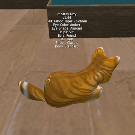 Second Life Marketplace - Stray Cats Kitten - Pelt: Faboo Tiger ...