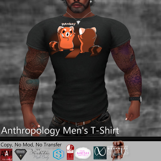 Second Life Marketplace - "RAWR!" Men's T-Shirt (MNTL)