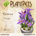 Second Life Marketplace - PlantPet Seed [Crocus *Violetta*]