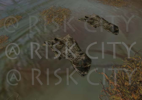 Second Life Marketplace - Sky_landscape SWAMP @ Risk!! (5 prims - 40X40)