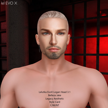 Second Life Marketplace - BE Allure Shape - Morten Shape {LeLUTKA EvoX ...