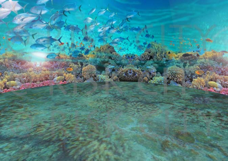 Second Life Marketplace - Sky_landscape CORAL REEF SCENERY @ Risk! (5 ...